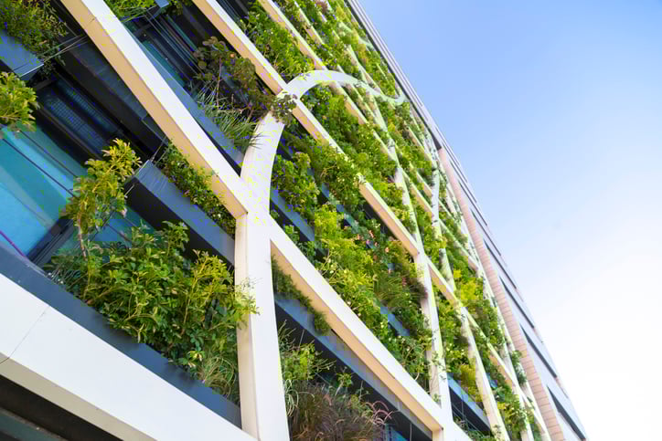 Green City: What Is a Sustainable City and Why Is It Important?