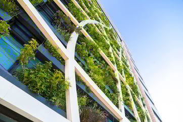 Green City: What Is a Sustainable City and Why Is It Important?