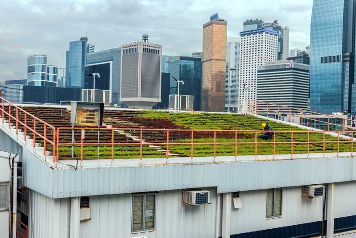 How Green Roofs Can Help Cities Fight Climate Change