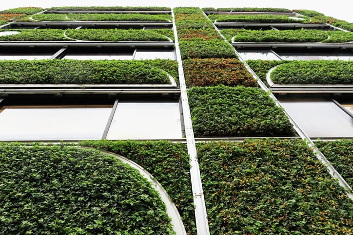 LEED vs BREEAM: Comparing Two Green Building Standards