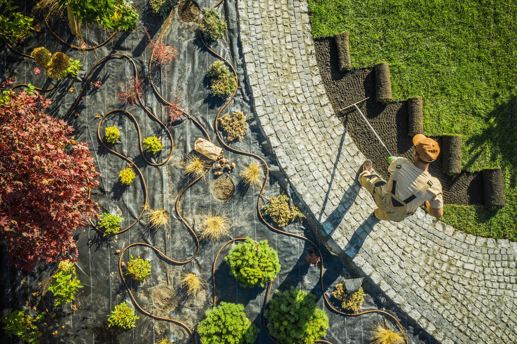 Exploring Landscaping Job Titles: 6 Cool Landscaping Careers