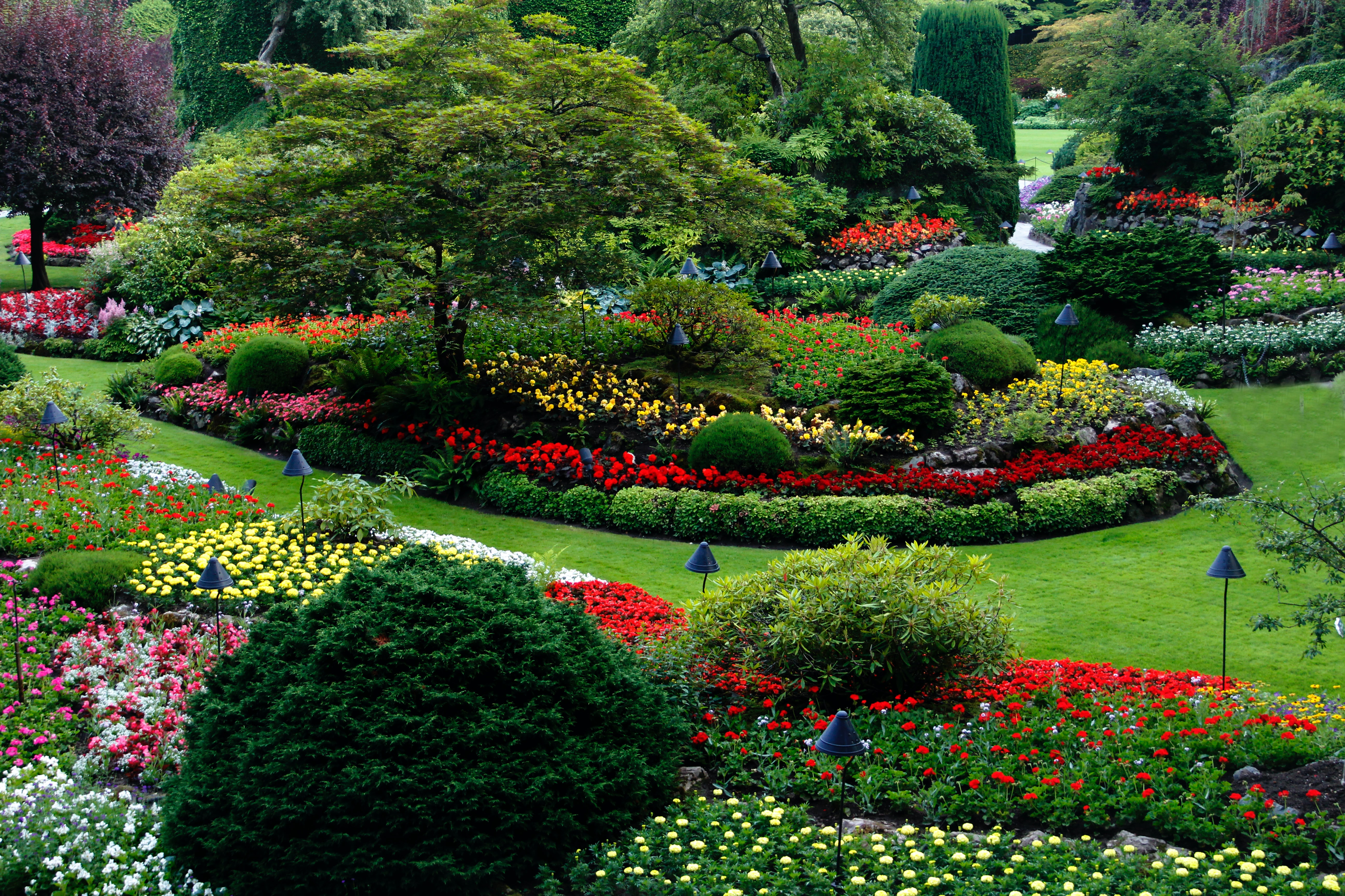 Exploring Landscaping Job Titles: 6 Cool Landscaping Careers